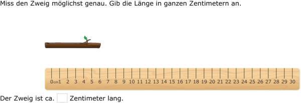 IXL – Mit Lineal messen (Matheübung 2. Klasse)